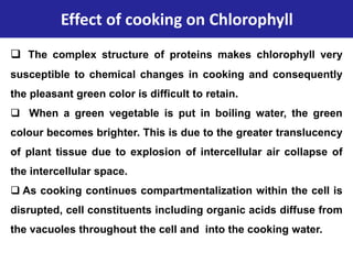 Plant Pigments | PPT