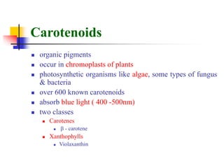Plant Pigments.ppt