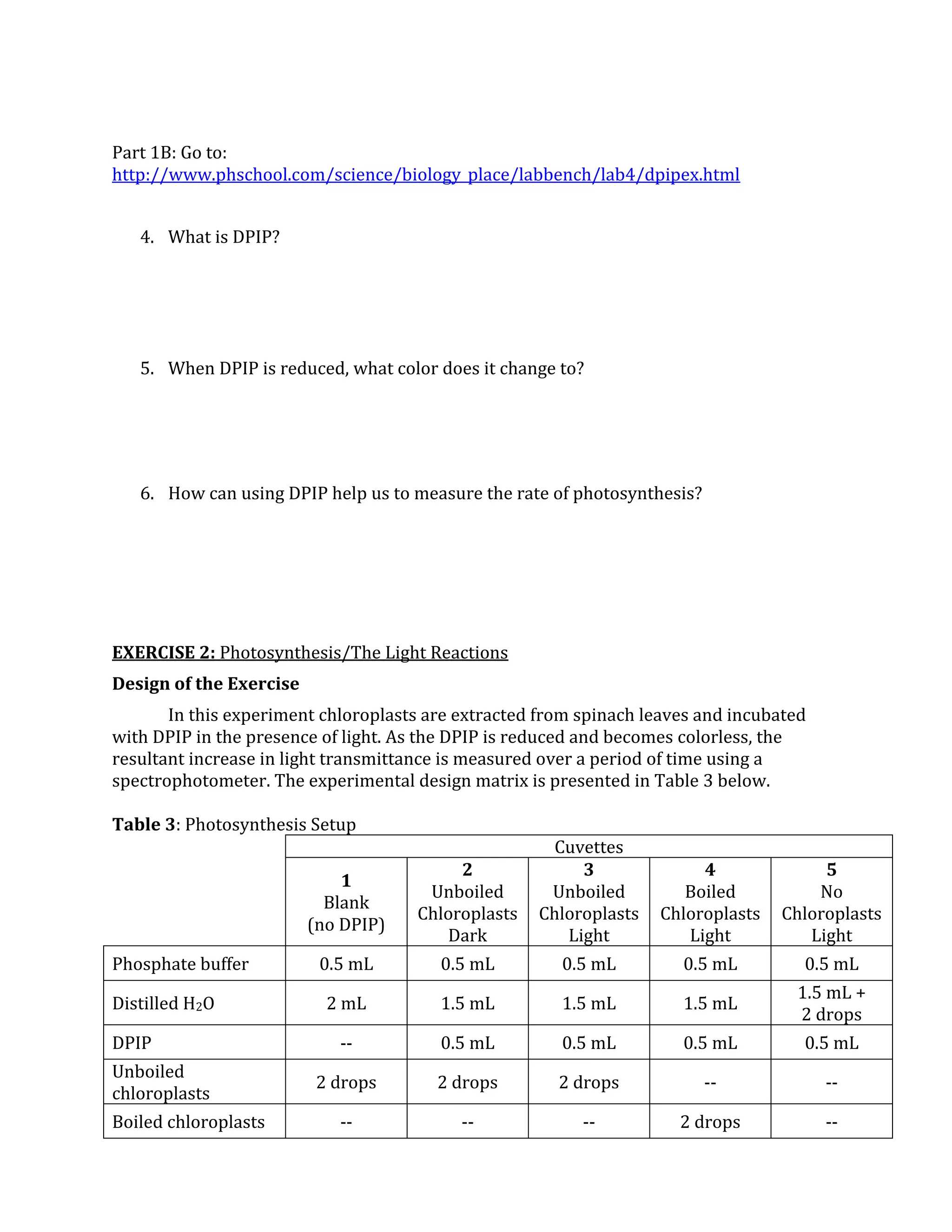 Plant pigments and photosynthesis | DOCX