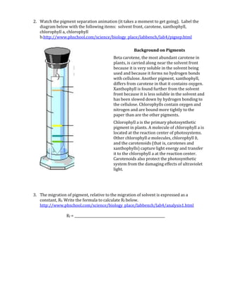 Photosynthetic Pigments Chromatography