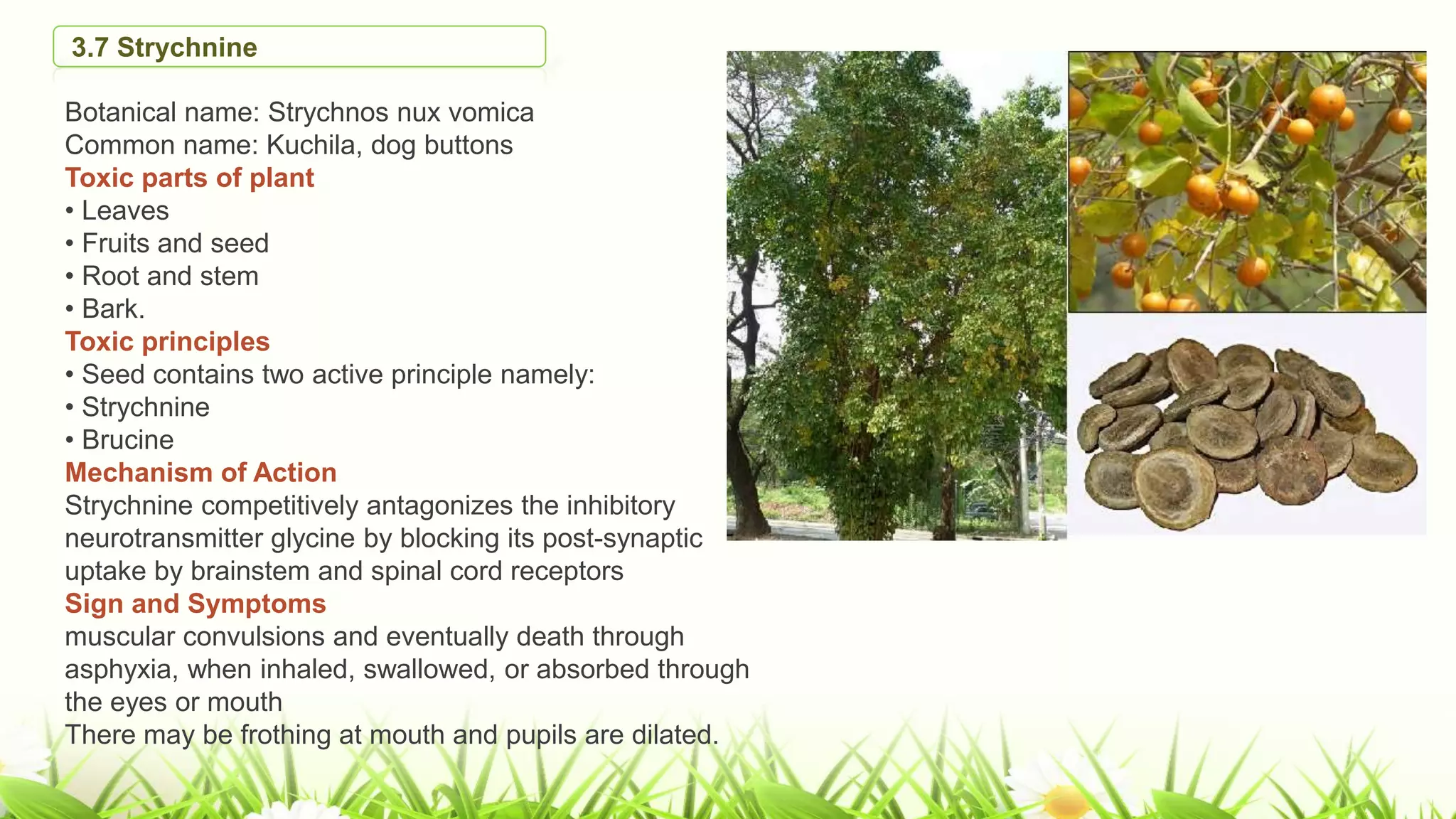 Vegetable Poison.pptx