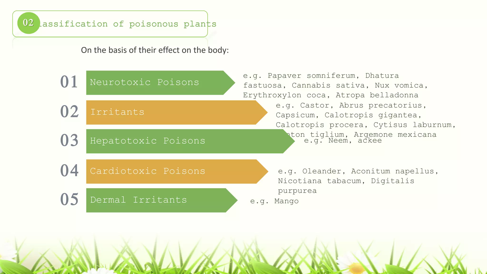Vegetable Poison.pptx