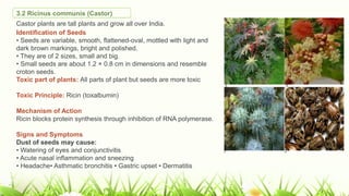 Vegetable Poison.pptx