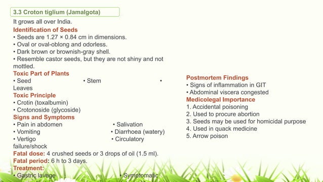 Vegetable Poison.pptx | Digestive Disorders | Diseases and Conditions