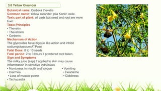 Vegetable Poison.pptx