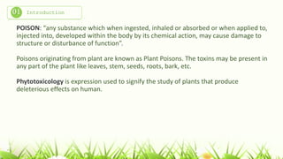 Vegetable Poison.pptx