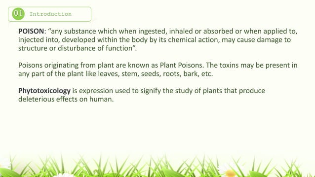 Vegetable Poison.pptx | Digestive Disorders | Diseases and Conditions