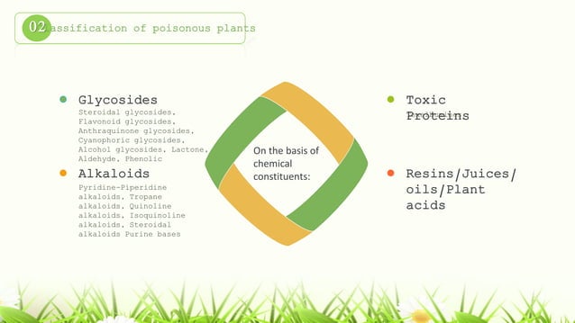 Vegetable Poison.pptx | Digestive Disorders | Diseases and Conditions