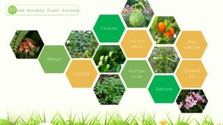 Vegetable Poison.pptx