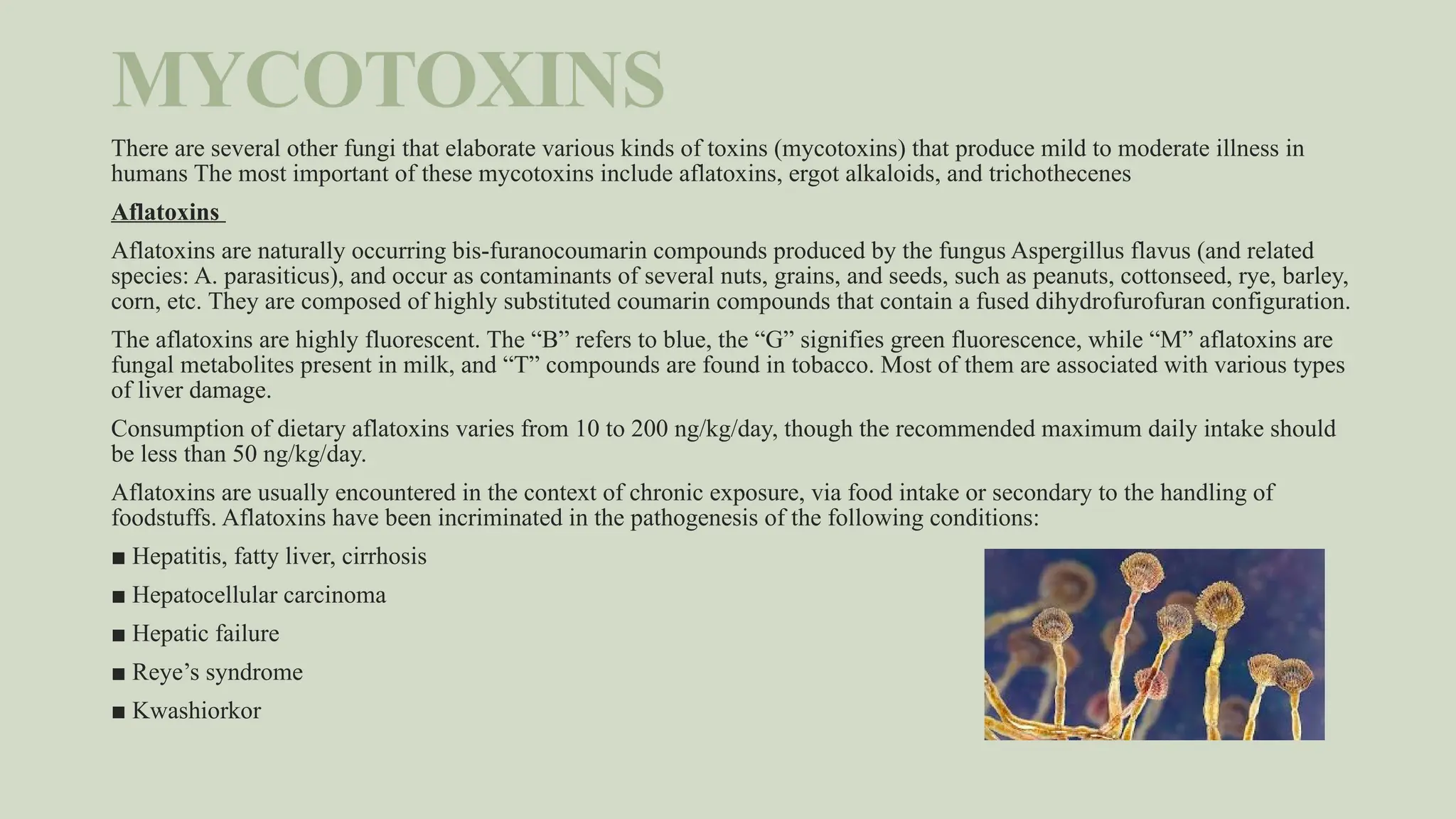 Plant poisoning clinical toxicology pharm | PPTX