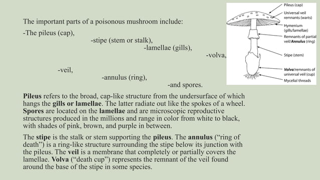 Plant poisoning clinical toxicology pharm | PPTX
