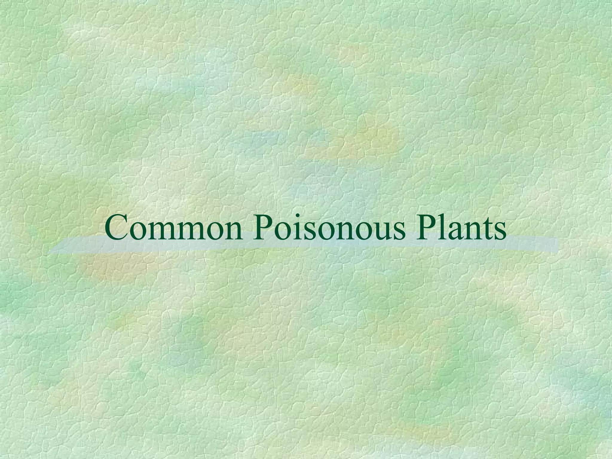Plant poisoning | PPT