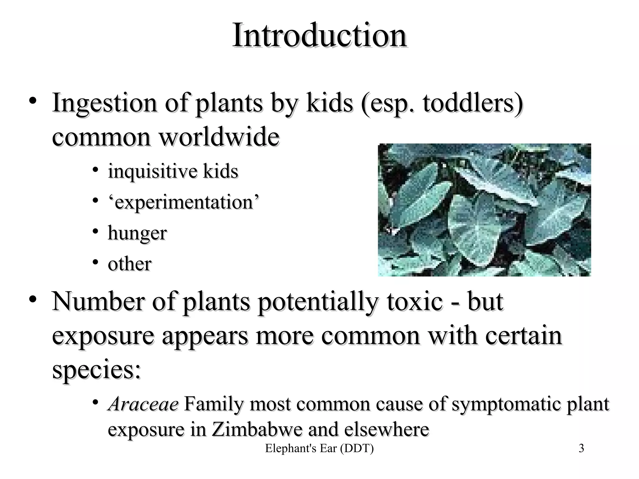 Plant Poisoning: Elephant's Ear Ingestion | PPT