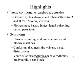Plant Poisoning: Elephant's Ear Ingestion | PPT