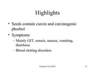 Plant Poisoning: Elephant's Ear Ingestion | PPT