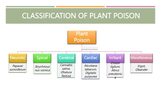 Plant Poisons 1 | PPTX