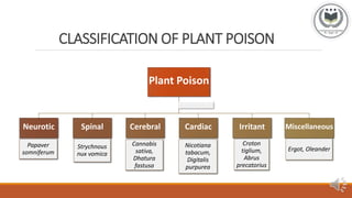 Plant Poisons 2 | PPT