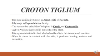 Plant Poisons 2 | PPT