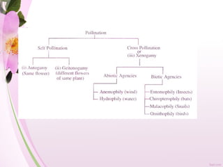 Plant pollination and development of flower.pptx