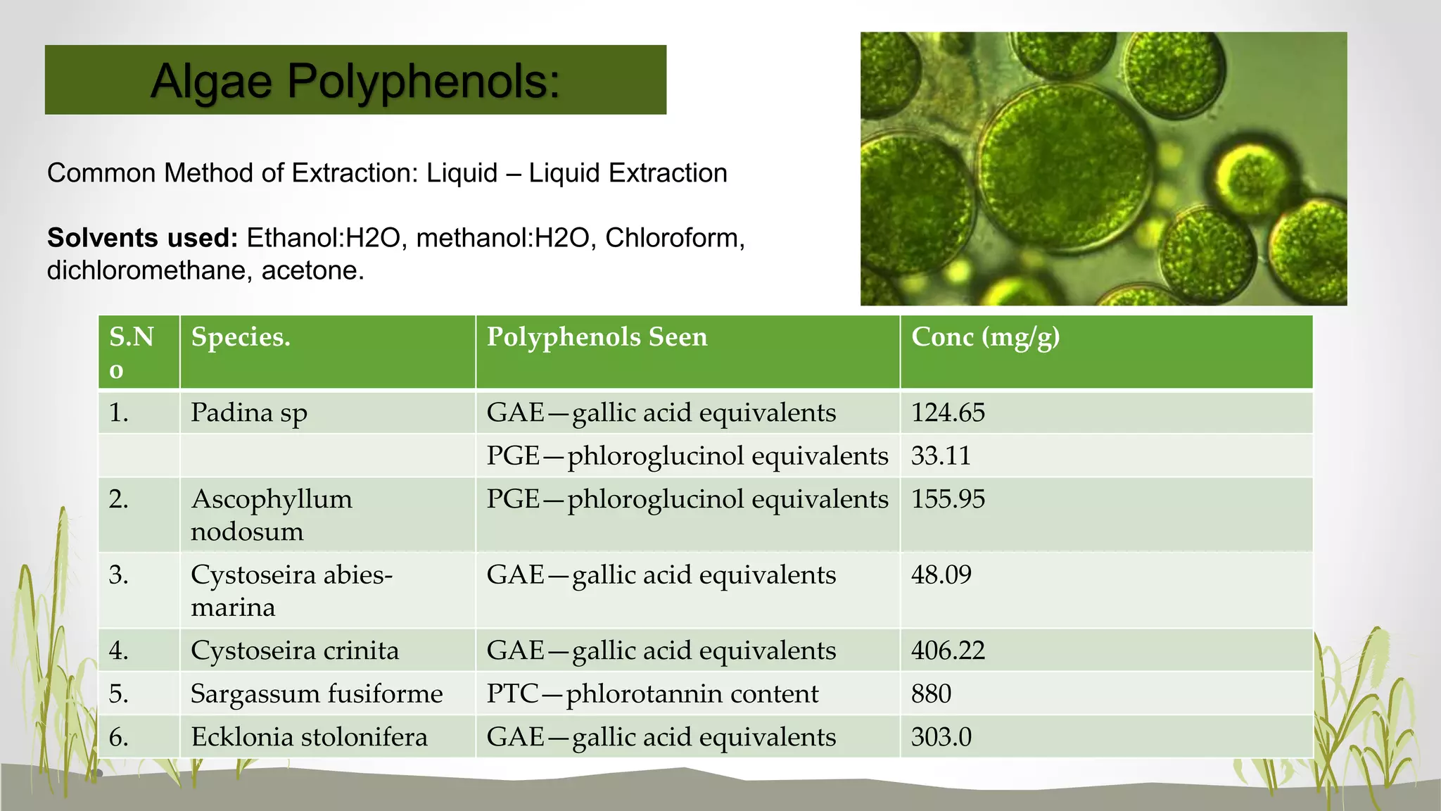 Plant polyphenols for slideshare | PPTX