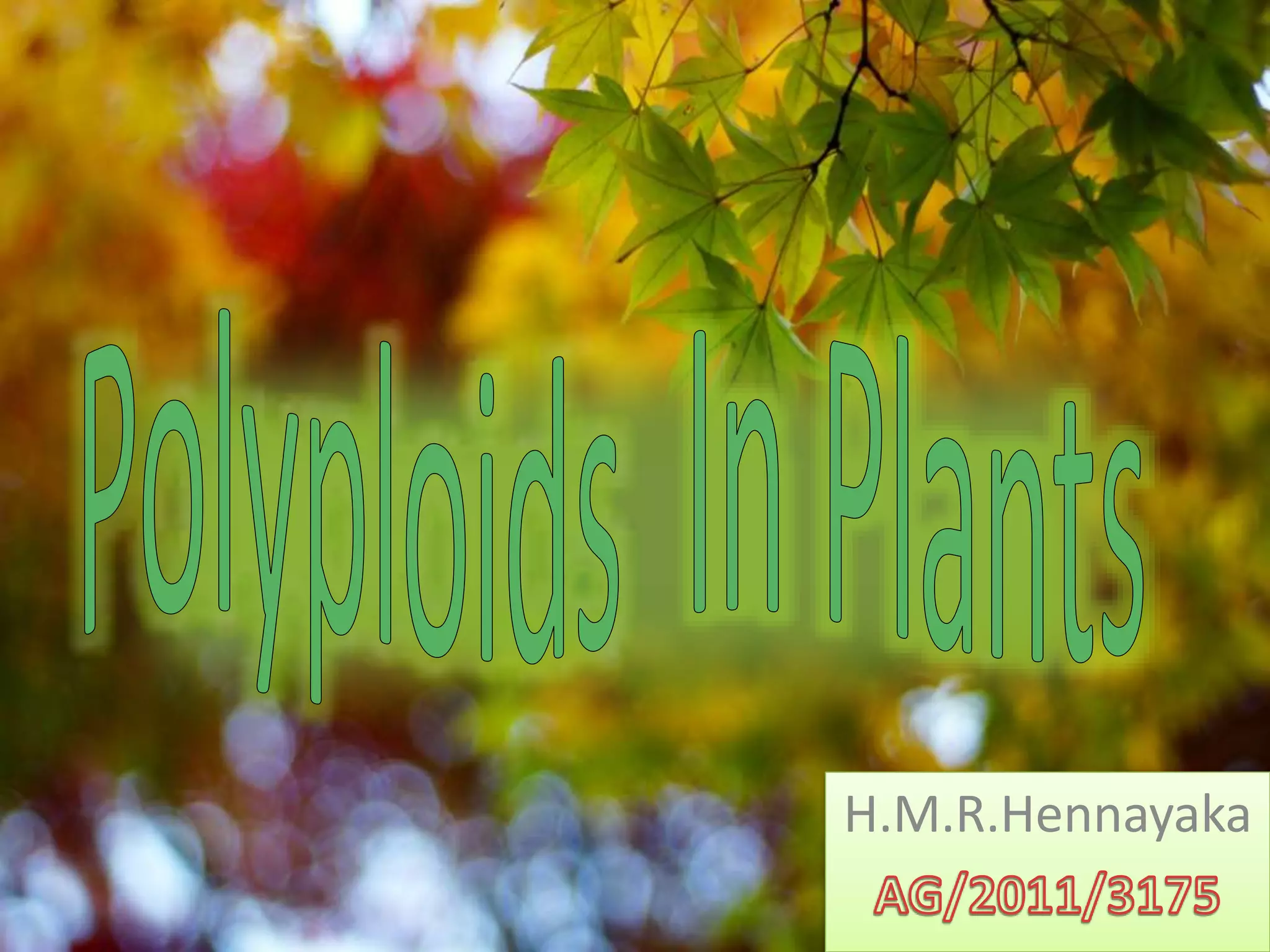 Plant polyploids | PPTX