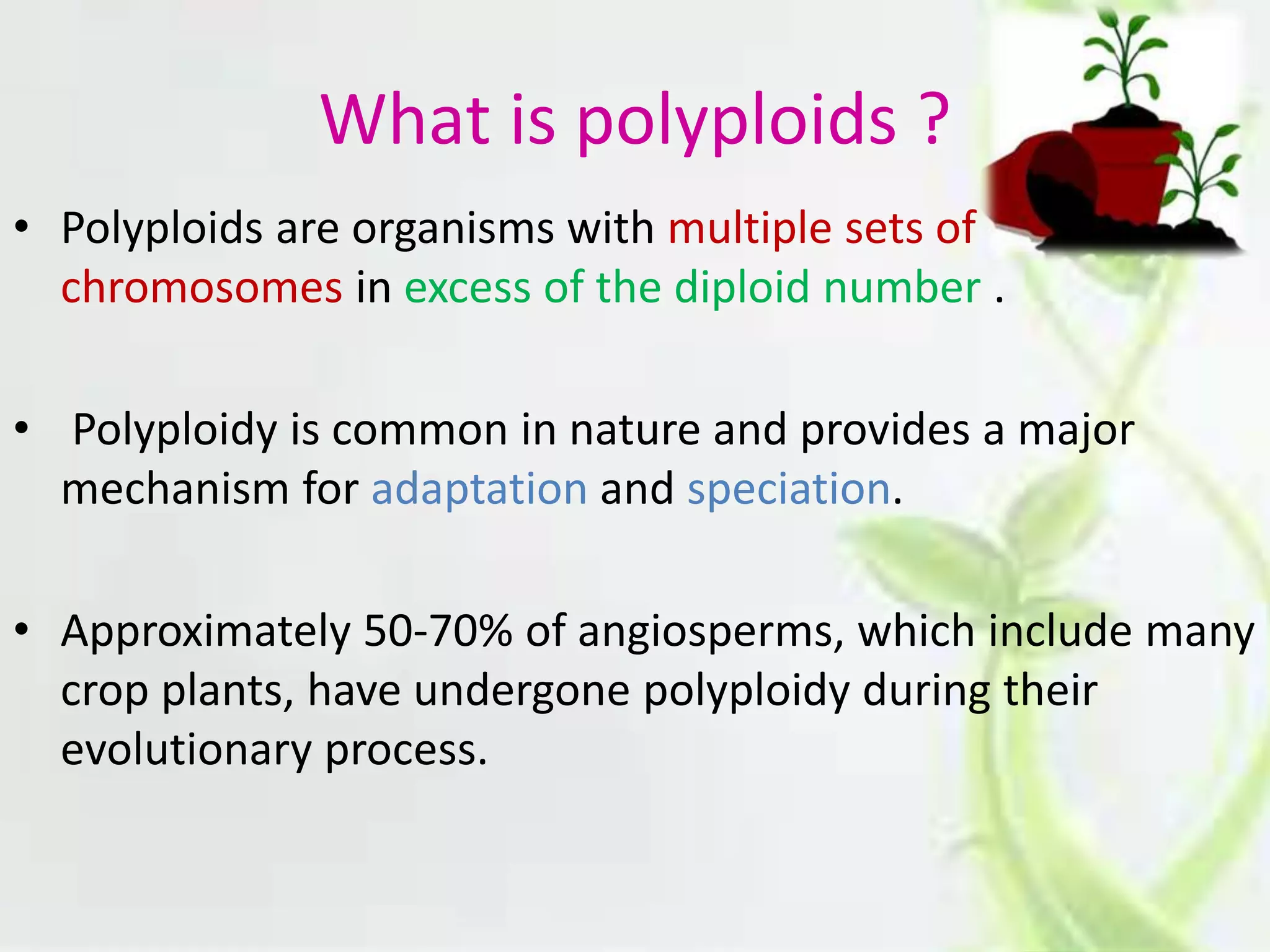 Plant polyploids | PPTX