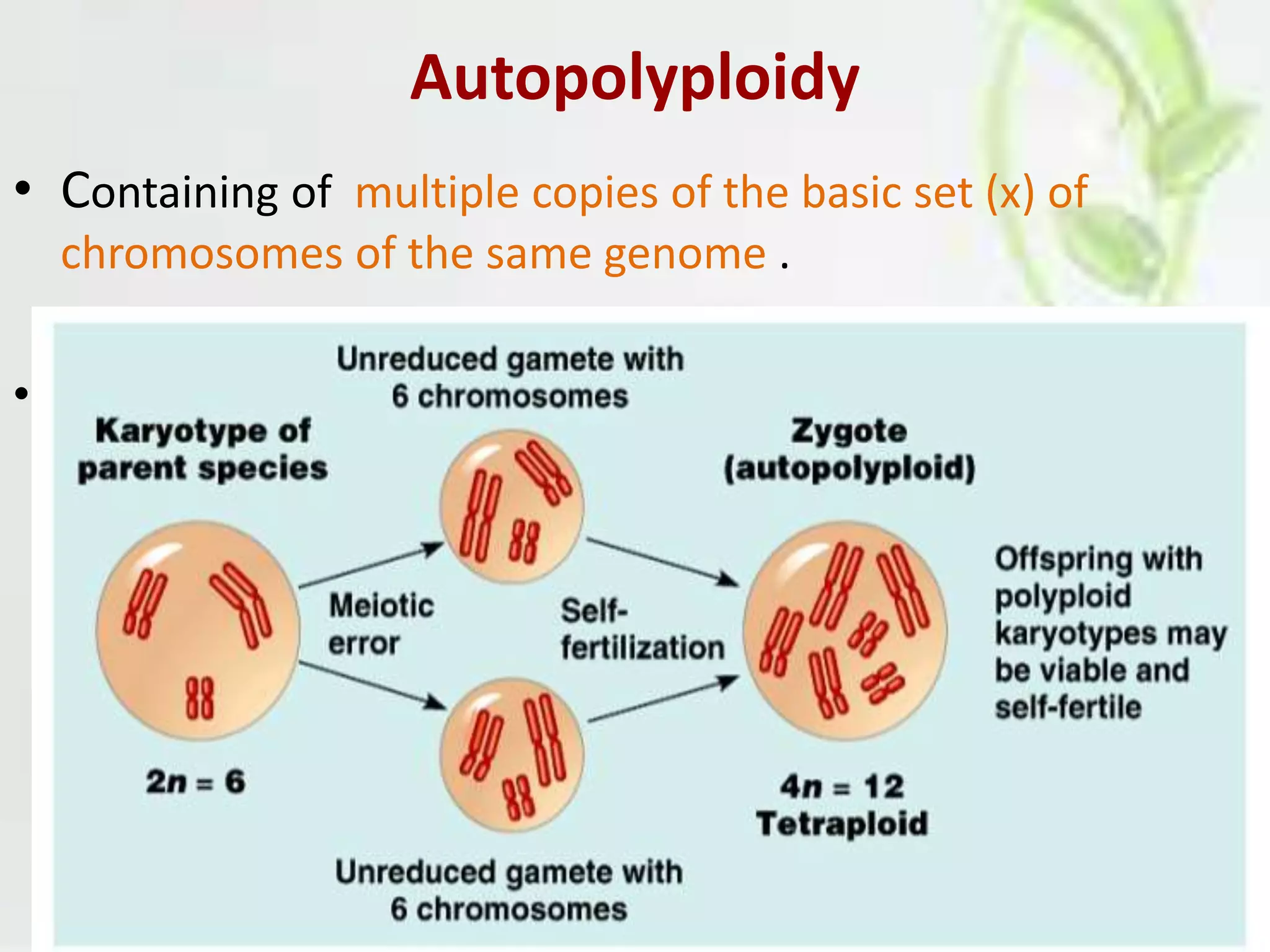 Plant polyploids | PPTX