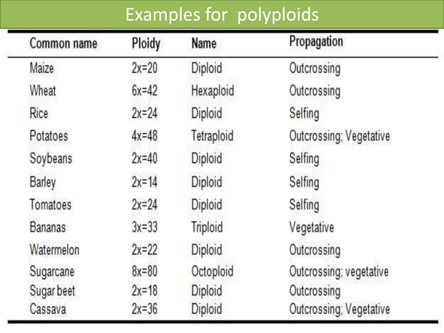Plant polyploids | PPTX | Biological Sciences | Science