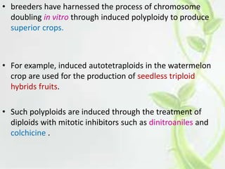 Plant polyploids | PPTX