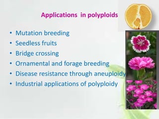 Plant polyploids | PPTX