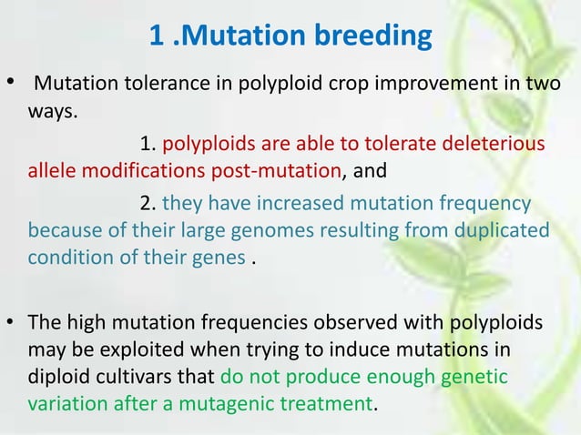 Plant polyploids | PPTX | Biological Sciences | Science