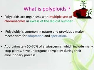 Plant polyploids | PPTX | Biological Sciences | Science