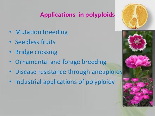 Polyploidy In Plants