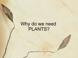 Plant Power Point | PPT