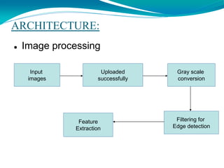 plant ppt.pptx