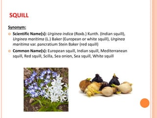 Cardiac Glycosides and plants | PPT