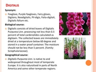 Cardiac Glycosides and plants | PPT