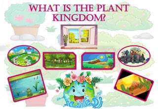 Comprehensive Overview of the Plant Kingdom: Structure, Functions, and ...