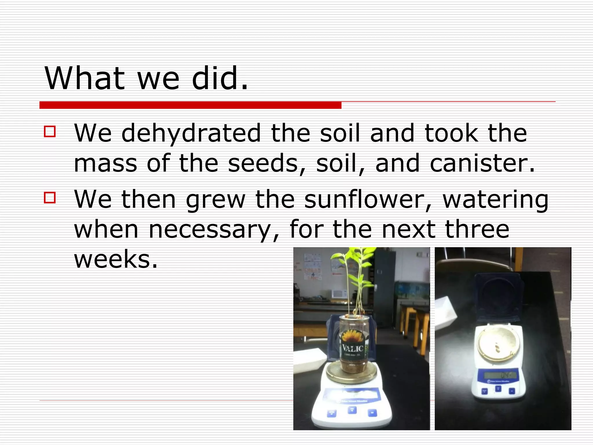 Plant primary productivity laboratory | PPT