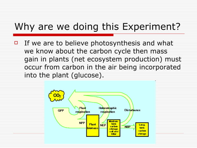 Plant primary productivity laboratory | PPT
