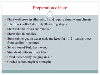Plant products | PPTX