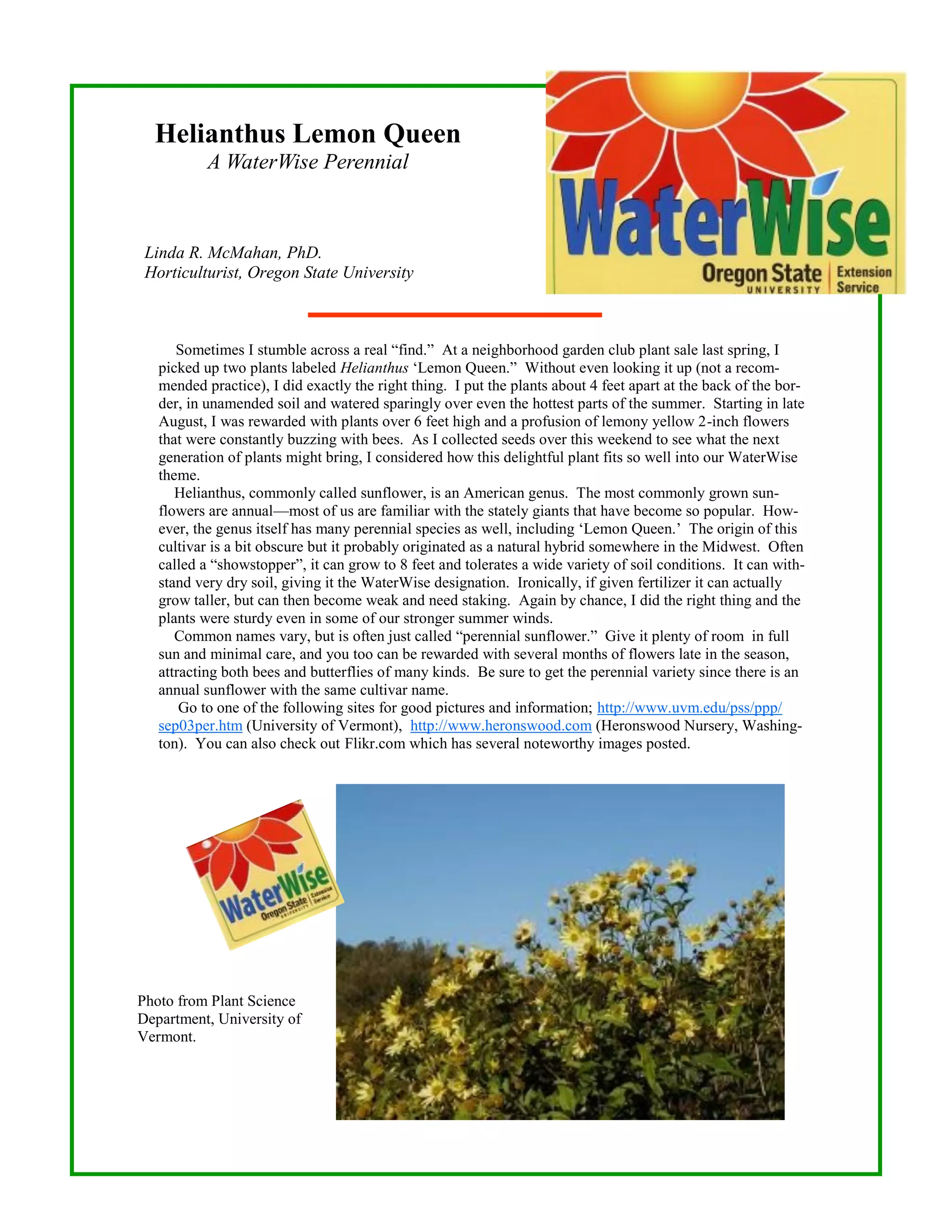 Helianthus Lemon Queen: A Waterwise Perennial - Oregon | PDF