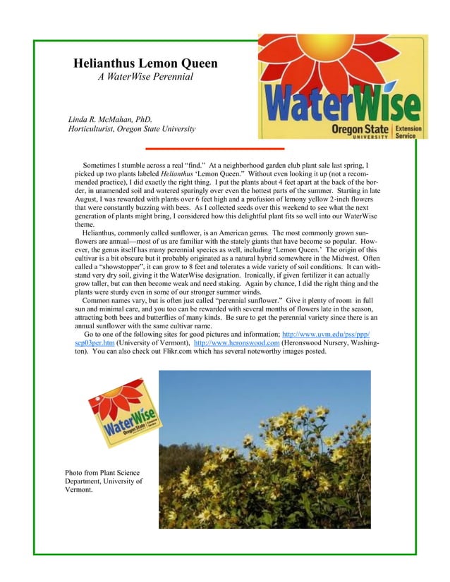 Helianthus Lemon Queen: A Waterwise Perennial - Oregon | PDF
