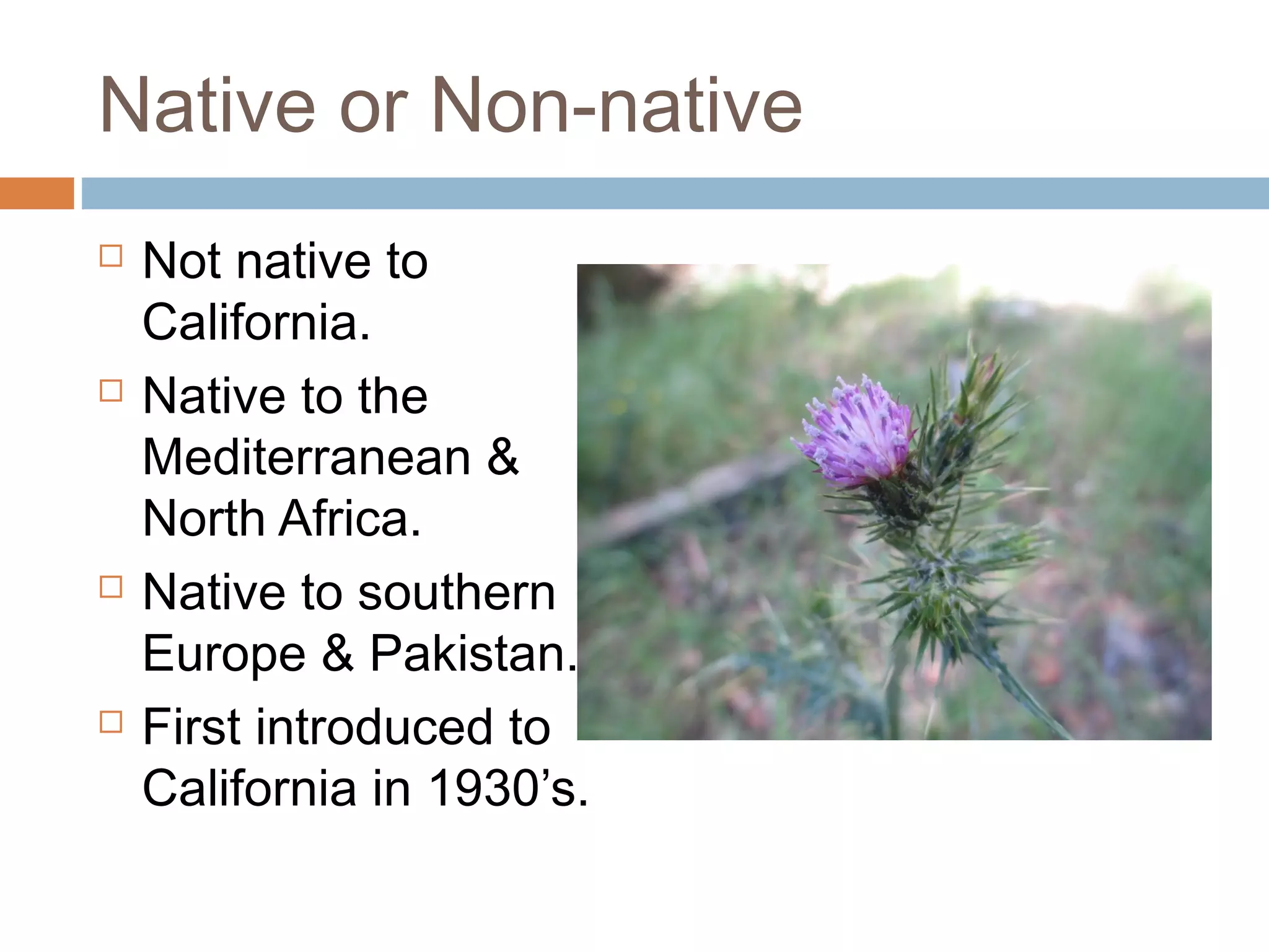 Plant Exploration Powerpoint 2 | PPT