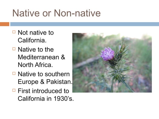 Plant Exploration Powerpoint 2 | PPT