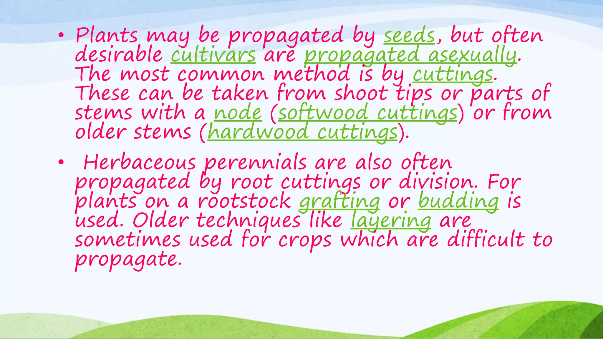 PLANT PROPAGATING MATERIALS USED IN FOREST NURSERY.pptx