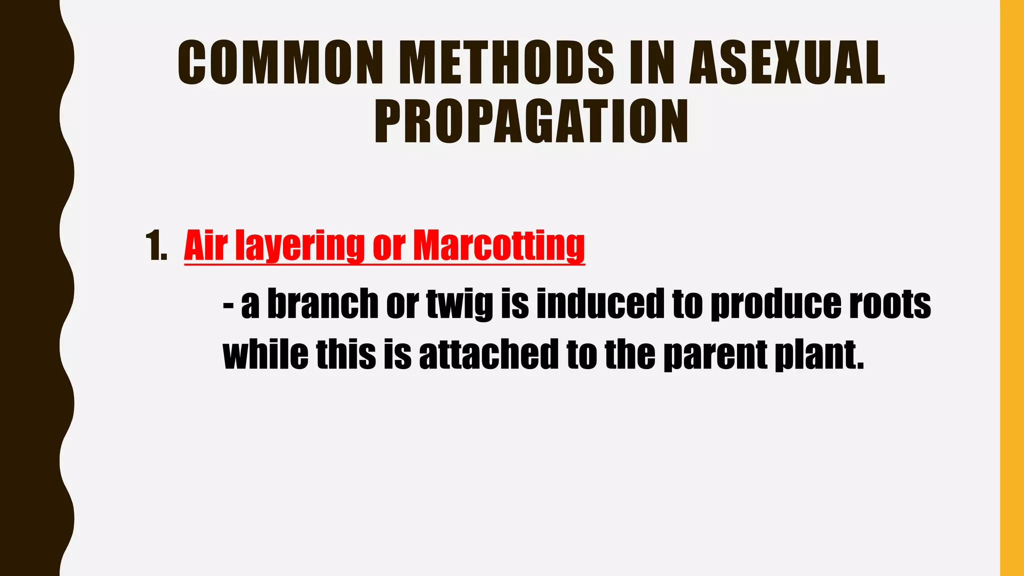 Plant propagation | PPTX