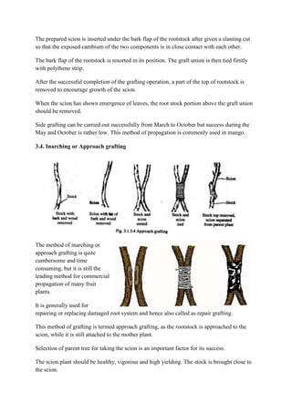 Plant propagation | PDF