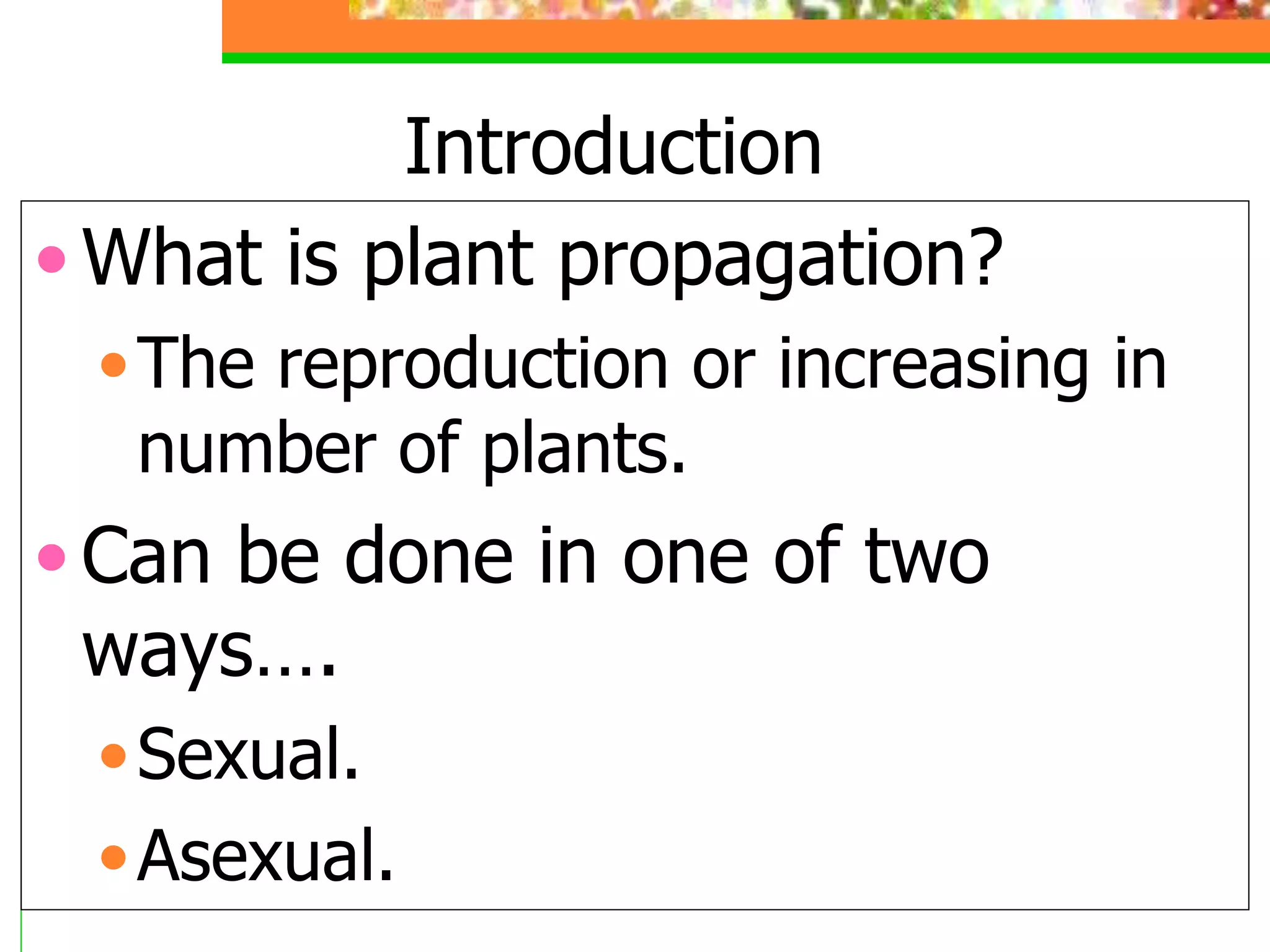 plant_propagation.ppt