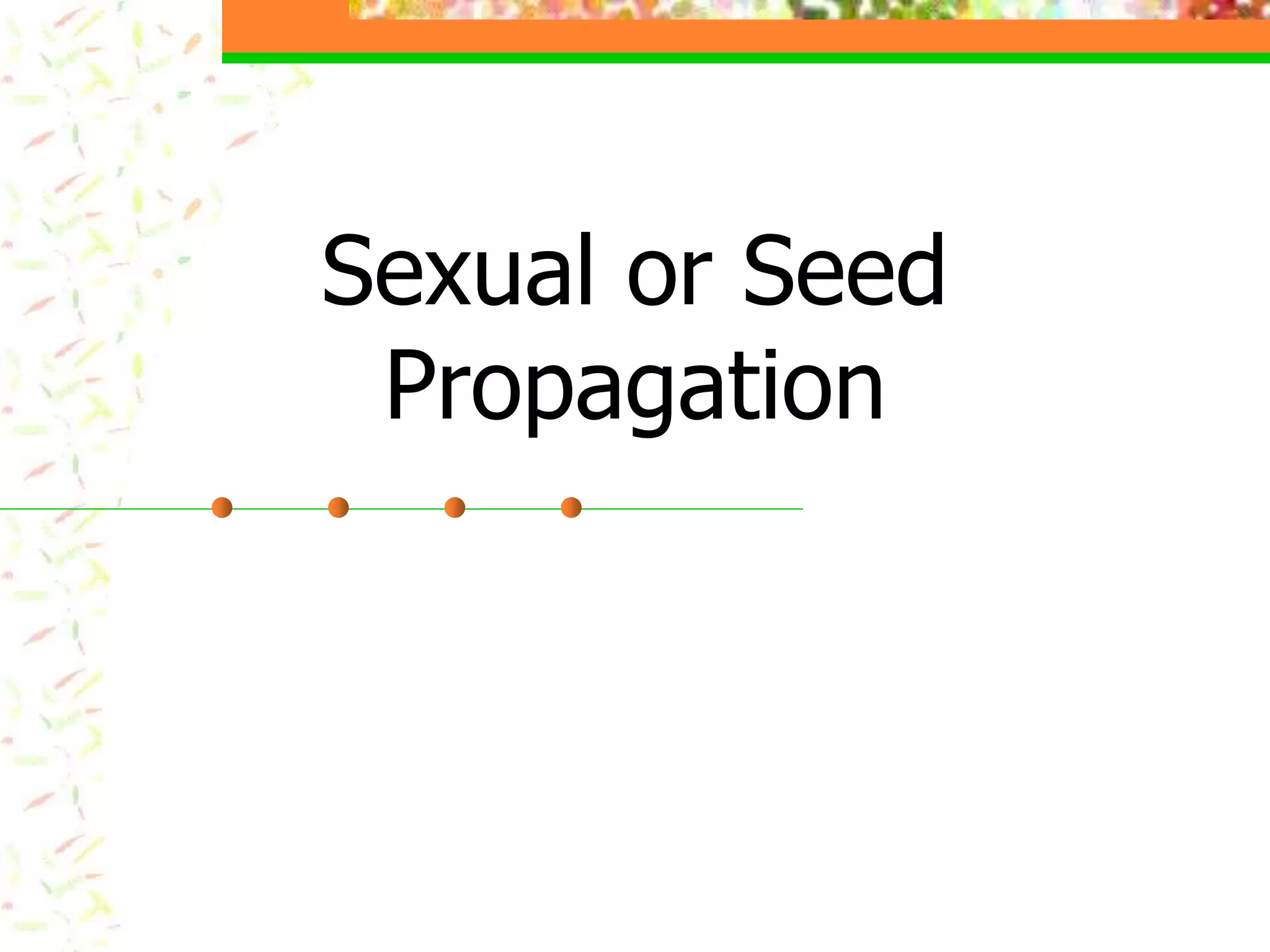 plant_propagation.ppt